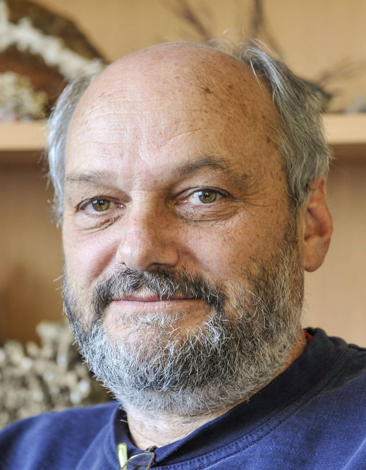 Senckenberg am Meer ‹ Restoreseas